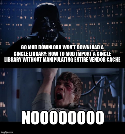 Meme Overflow On Twitter Go Mod Download Won T Download A Single Library How To Mod Import A