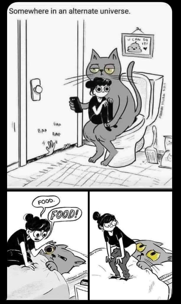 Parallel Universe Comics