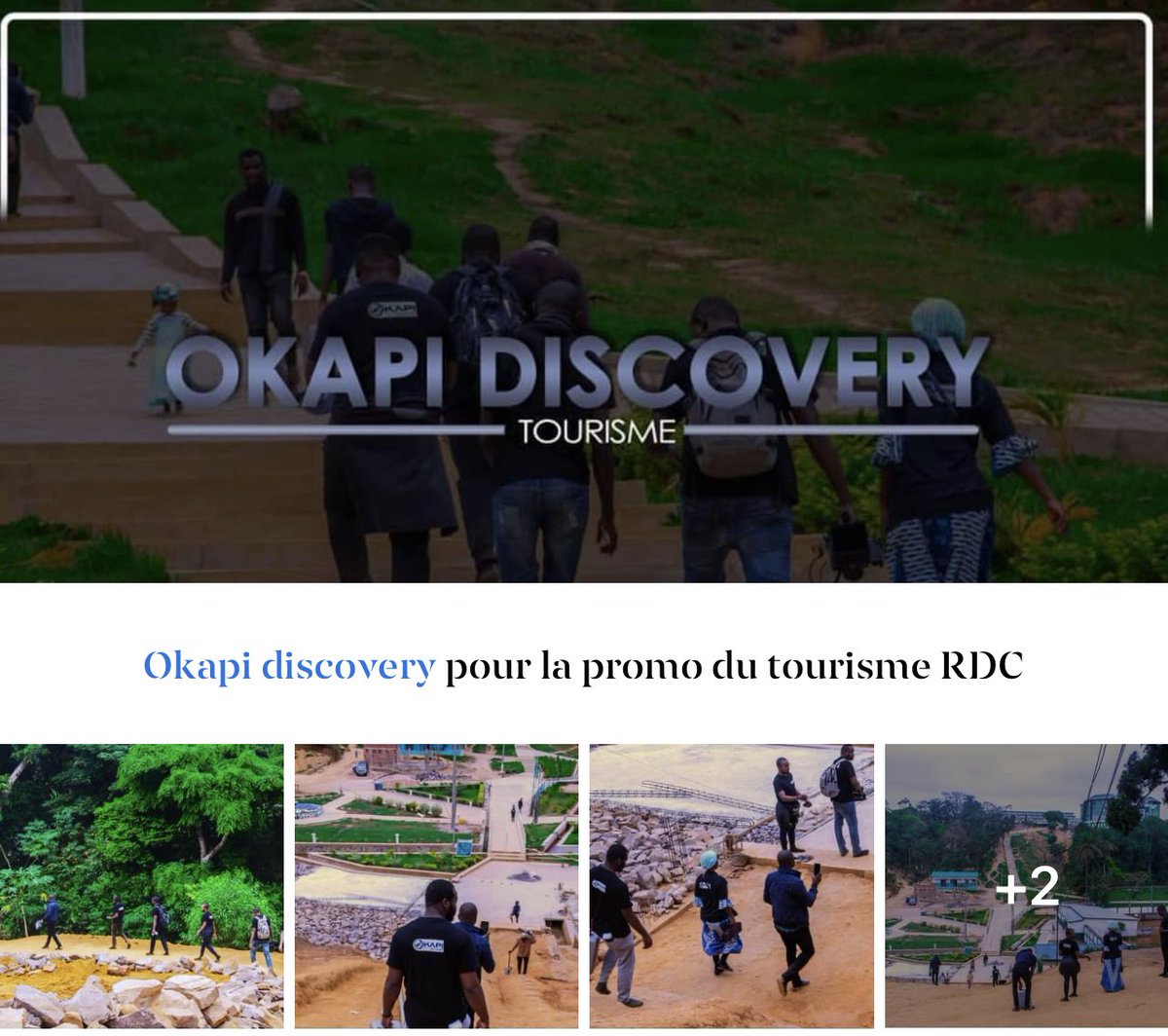 OKAPI DISCOVERY (@DiscoveryOkapi) | Twitter