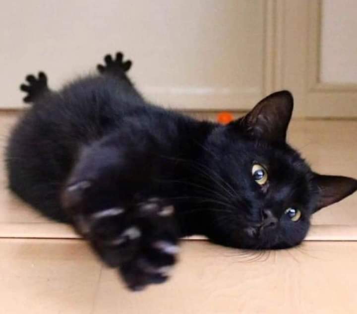 Camila Martinez (@sleepyocean_) | Twitter