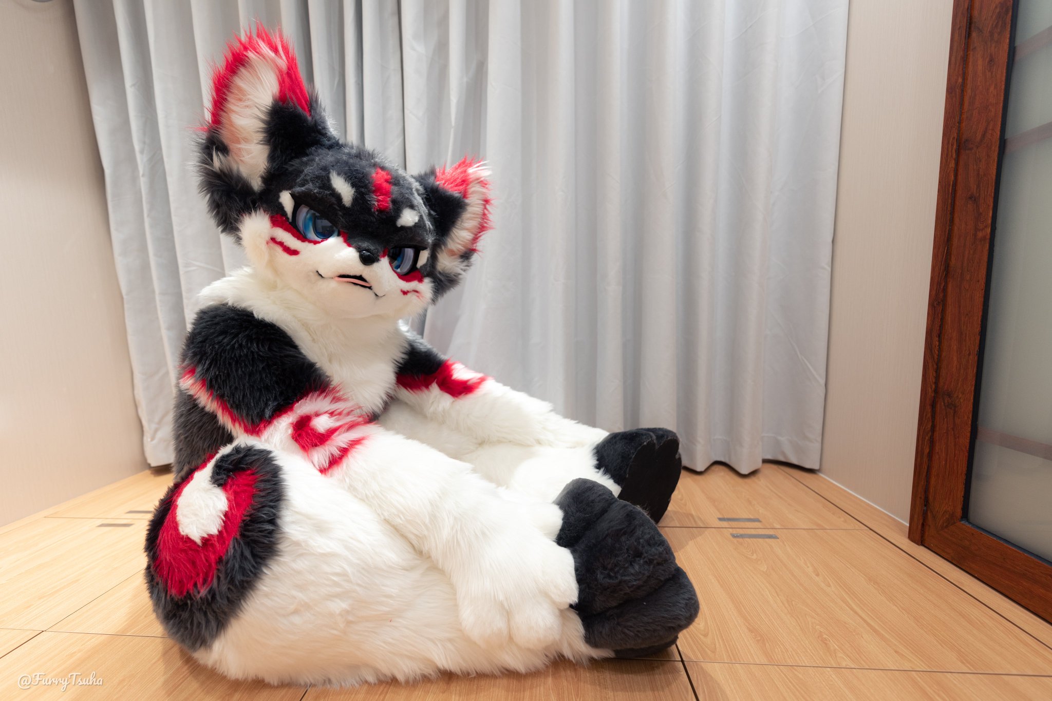 梓夏🐾Tsuha🐾ツハ@VRC🔜JMoF2023 on Twitter: "我又来了w（乖巧.jpg #FursuitFriday https://t.co/d35vc25dca" / Twitter