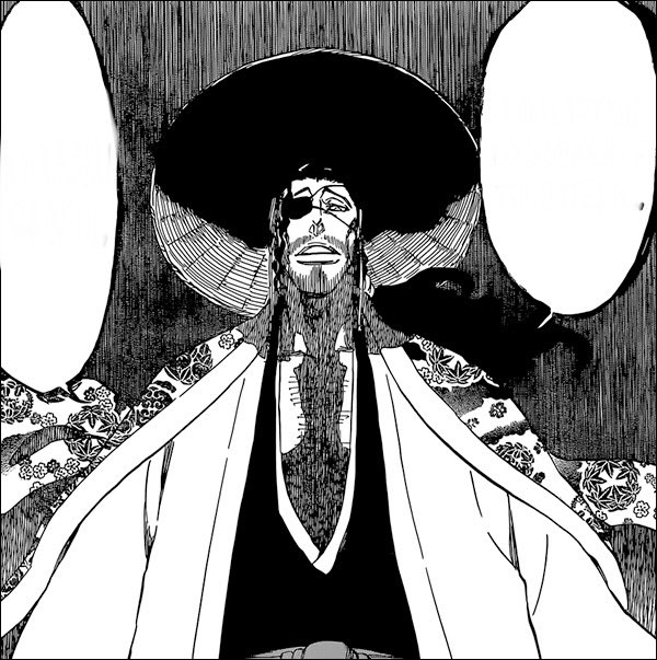 Bleach Captain Shunsui