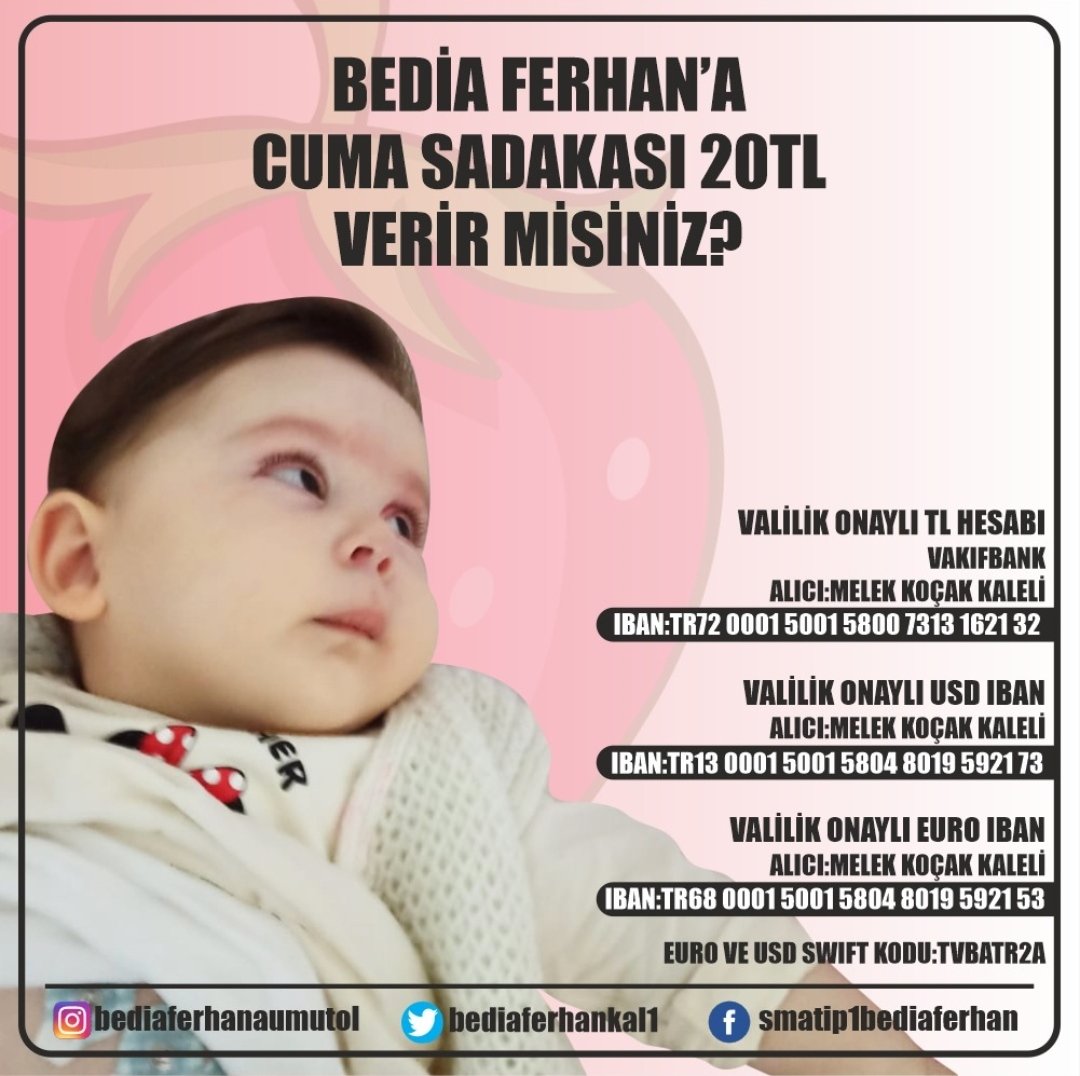 Seda (@Seda_Ayb) | Twitter