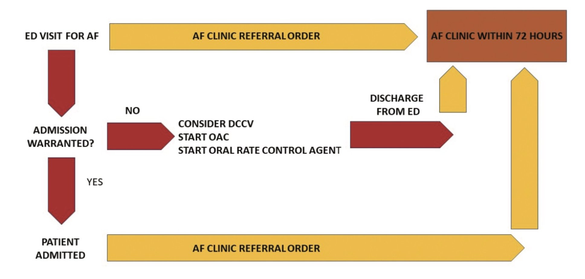 EP Lab Digest on Twitter: "Building a Comprehensive #AFib Clinic: Rationale and Implementation ...