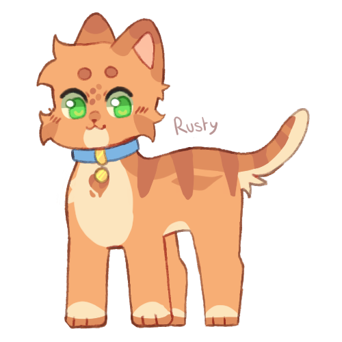 Rusty From Warrior Cats
