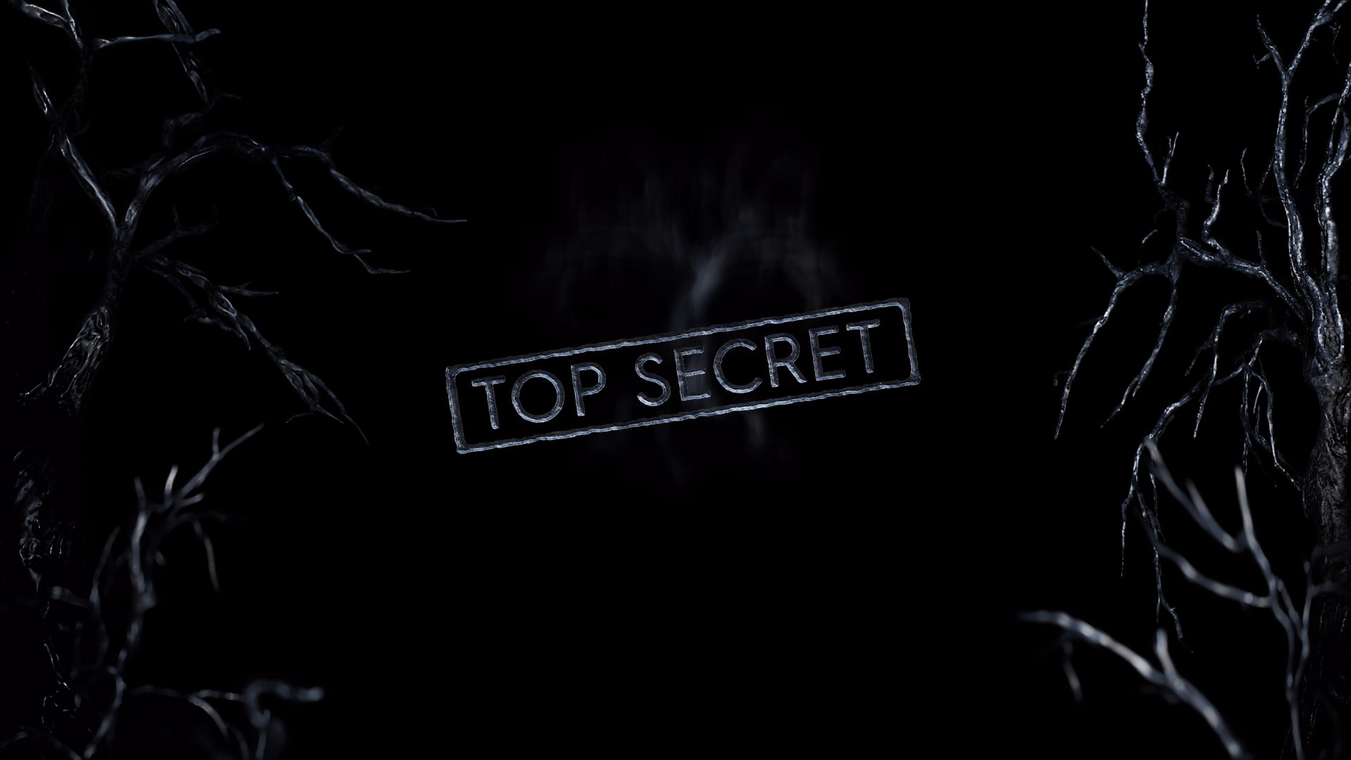 Top Secret Wallpaper