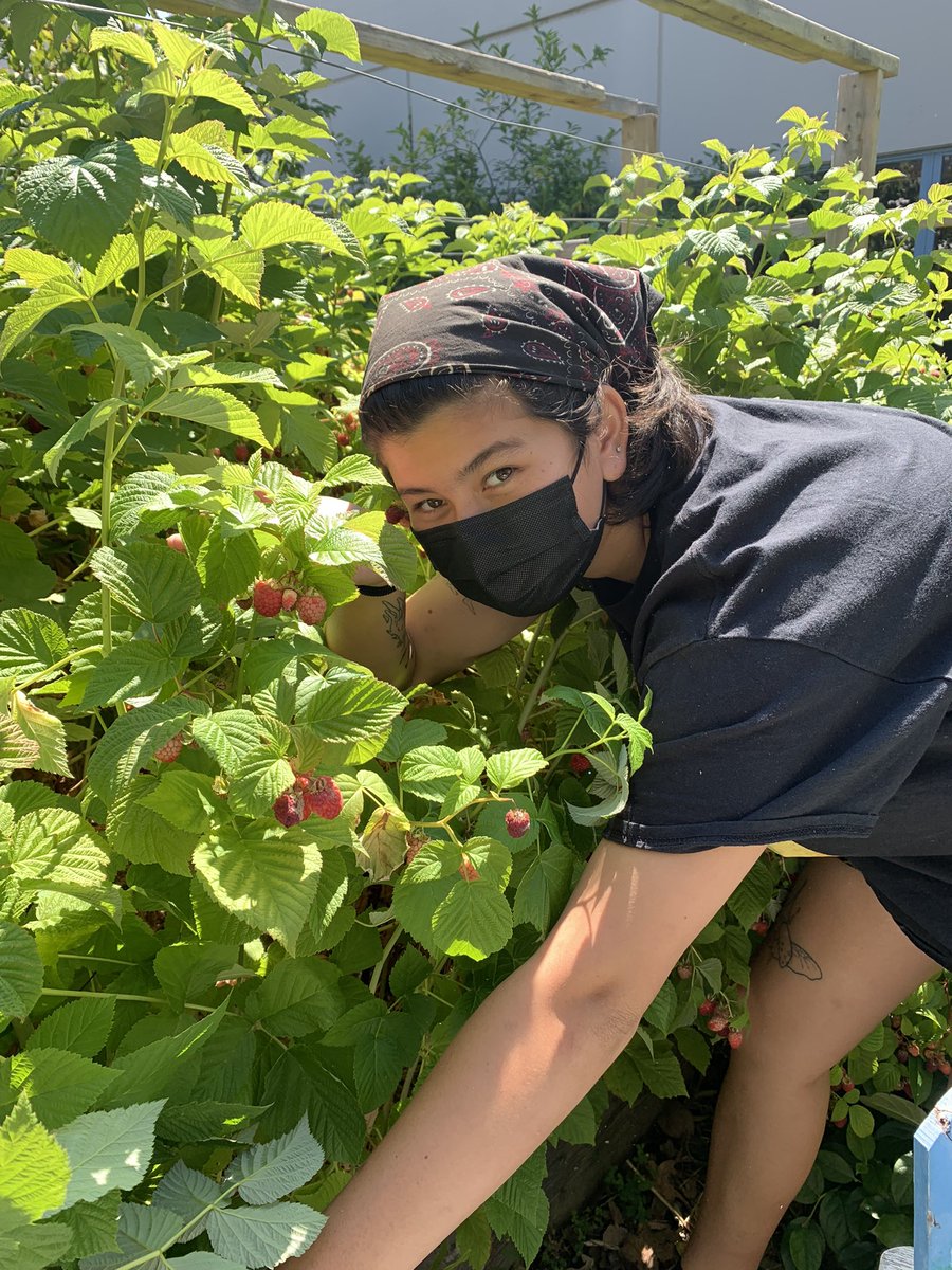 Pathways & Partnerships