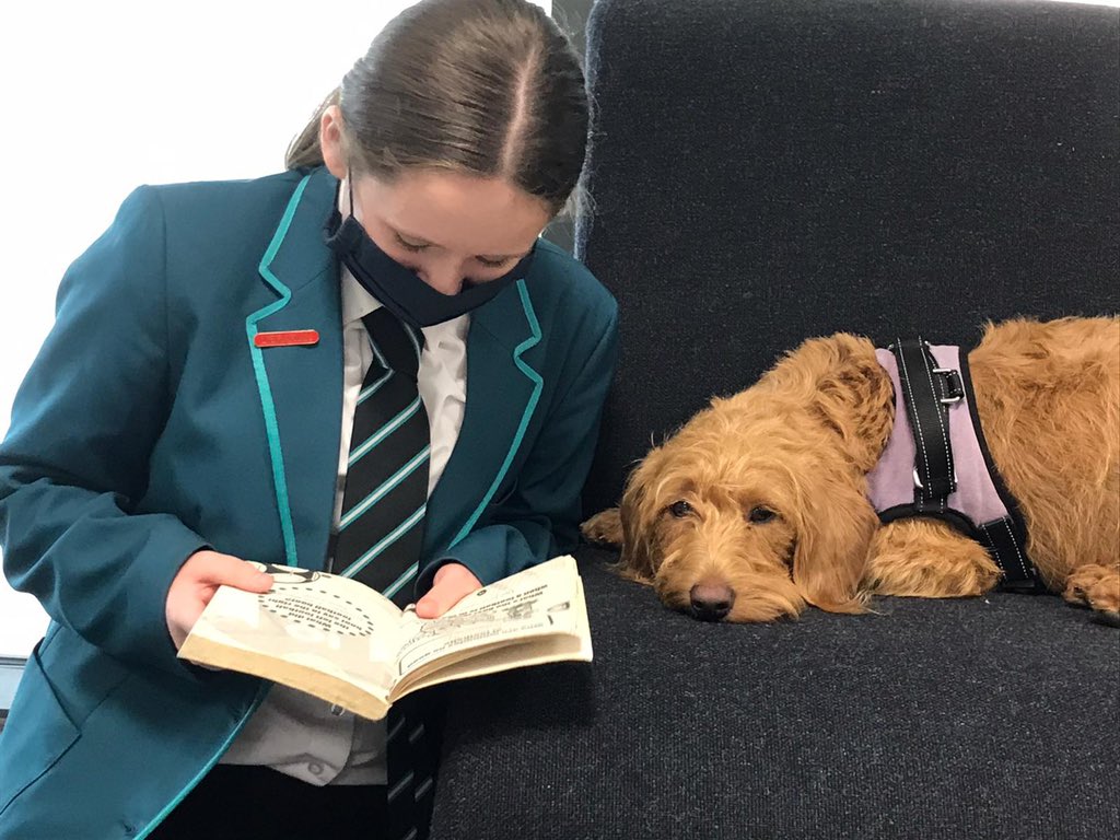 Welcome to Harris Academy Clapham