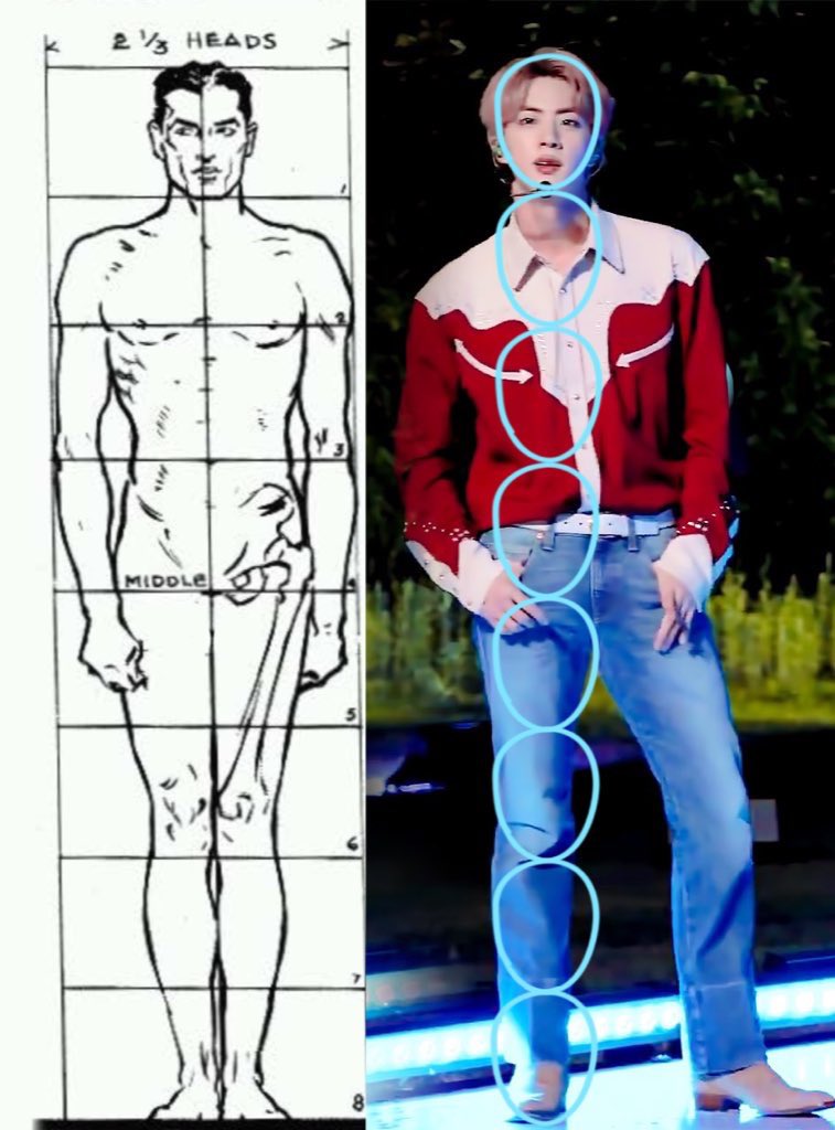 Perfect Human Body Proportions