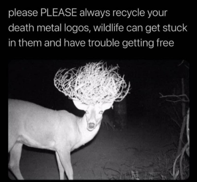 Black Metal Logo Meme