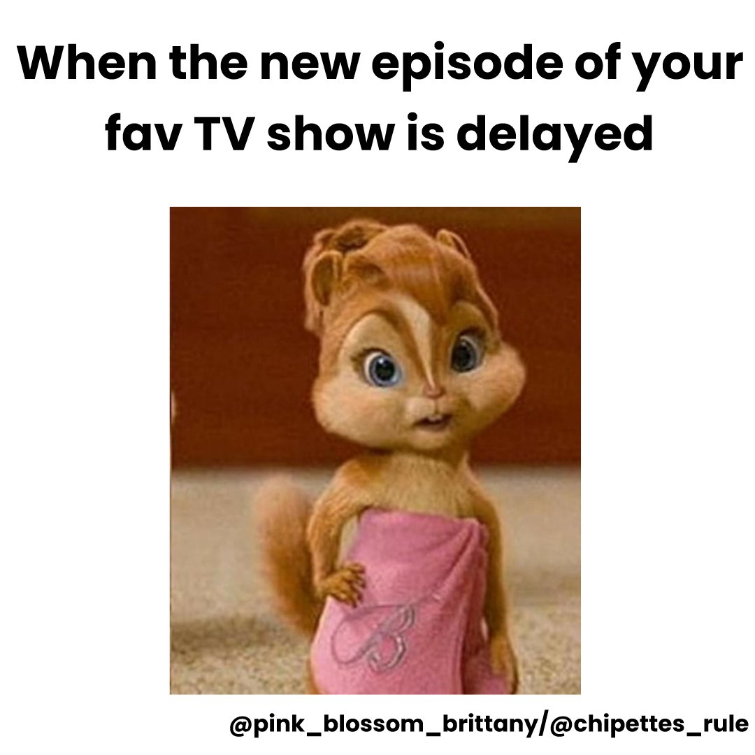 Funny Chipmunk Memes Pinterest | Alvin And The Chipmunks, Memes, Funny