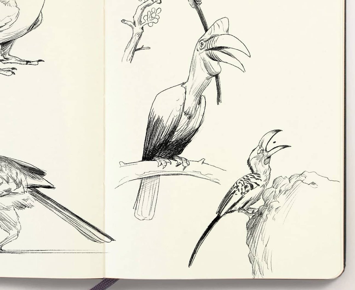 「Day 6/31 of my patreon drawing challenge. We're drawing anim」Jens ...