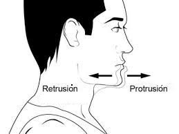 ¿Cuáles son los tipos de movimientos de la extremidades? | Homo Medicus