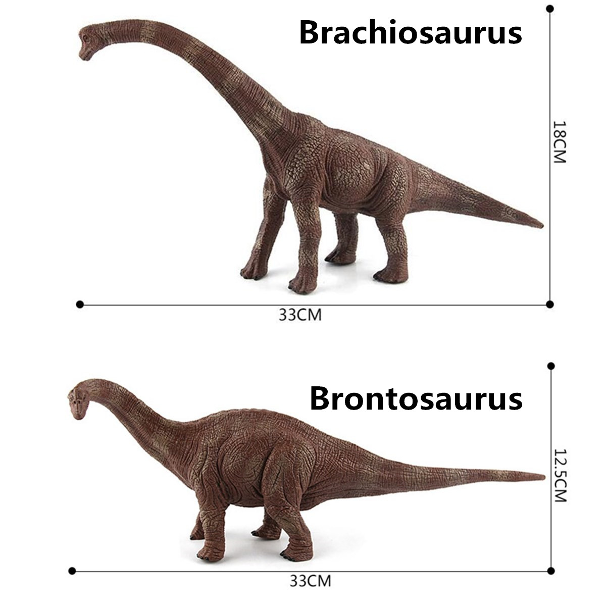 Brontosaurus Vs Brachiosaurus