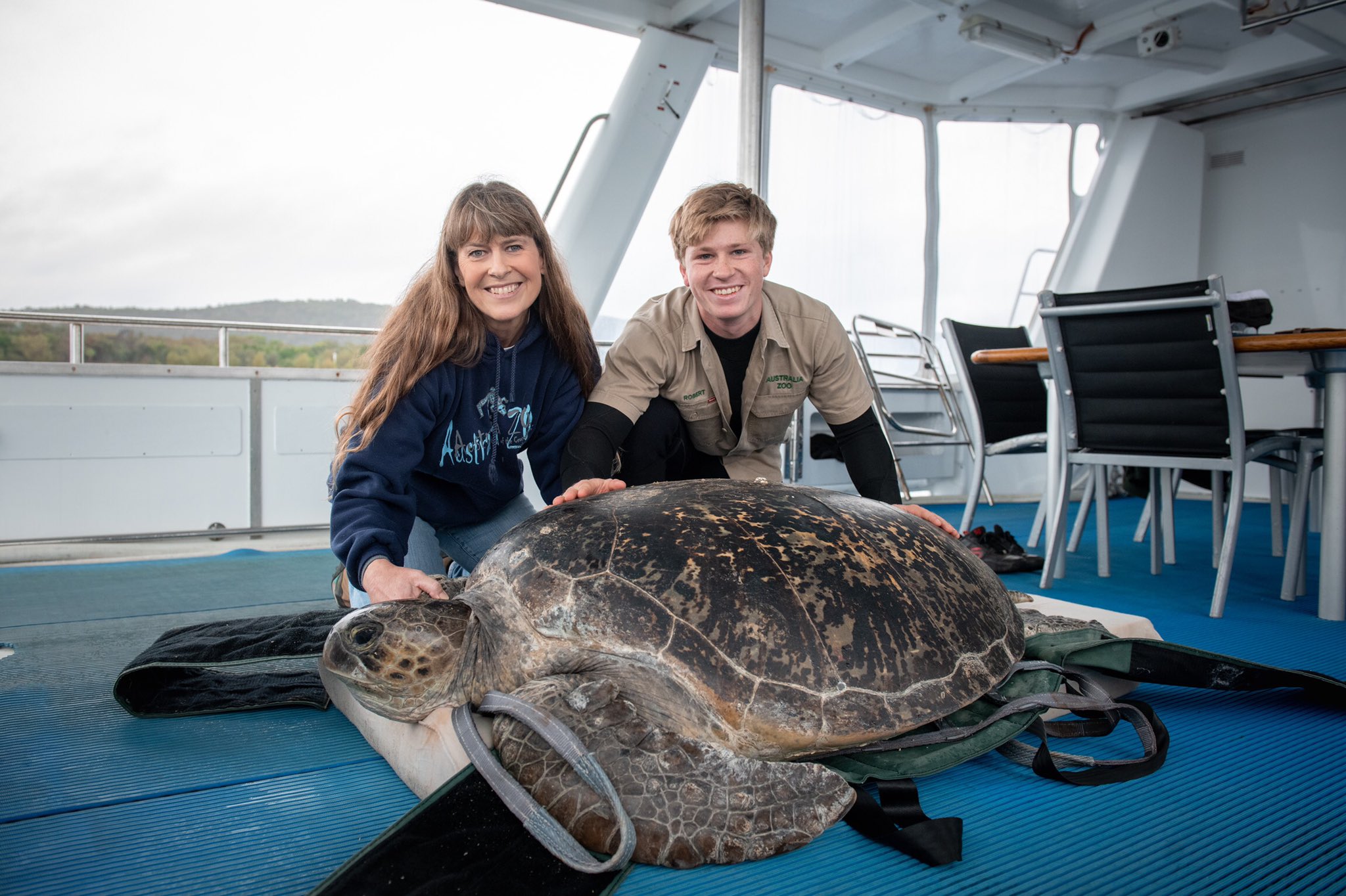 Sea Turtle Parasites