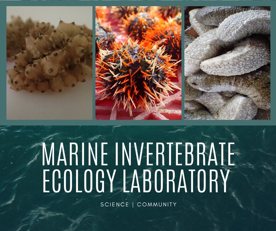 Marine Invertebrate Ecology Laboratory (@InvertsLab) / Posts / X
