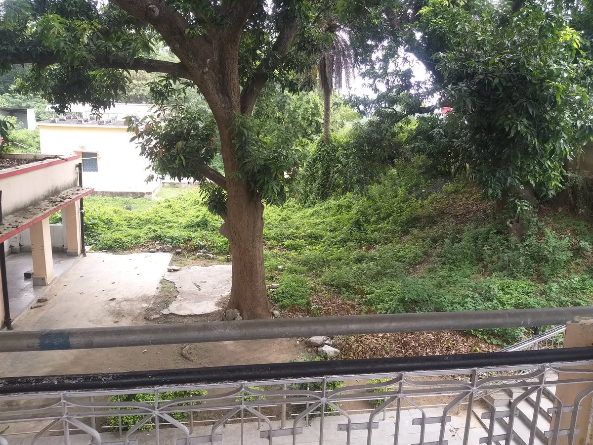 SAROJ PADHAN (@Saroz_Padhan) | Twitter