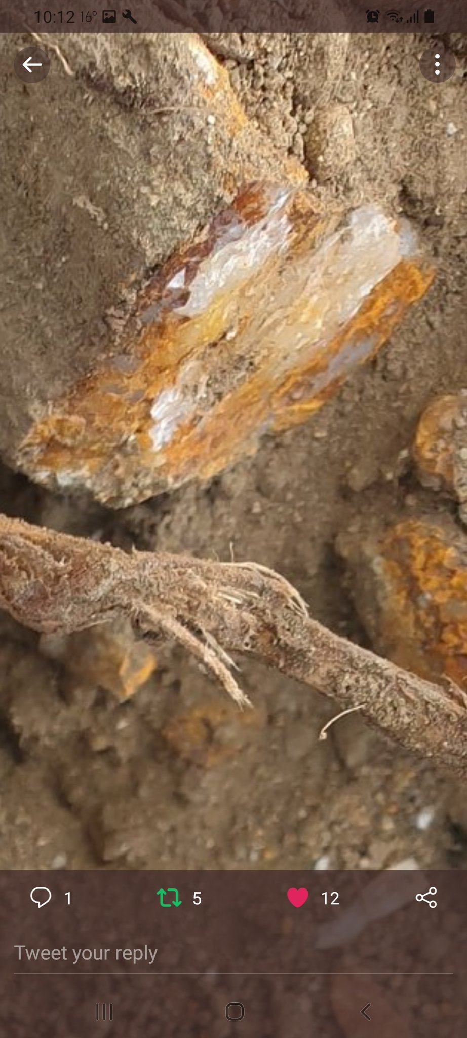 Rockfire Resources plc (LON:ROCK) on Twitter: "@Rockfireplc Nice veining on the tracks being re ...