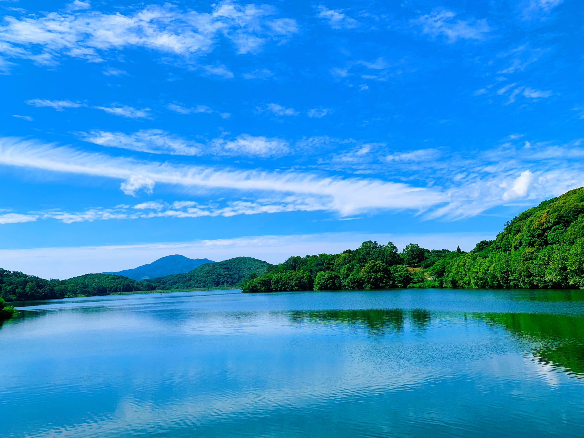 glico on Twitter: "久々に宜しくお願いします。 Reset both mind and body #湖 #sky #bluesky #Nikon https://t.co ...