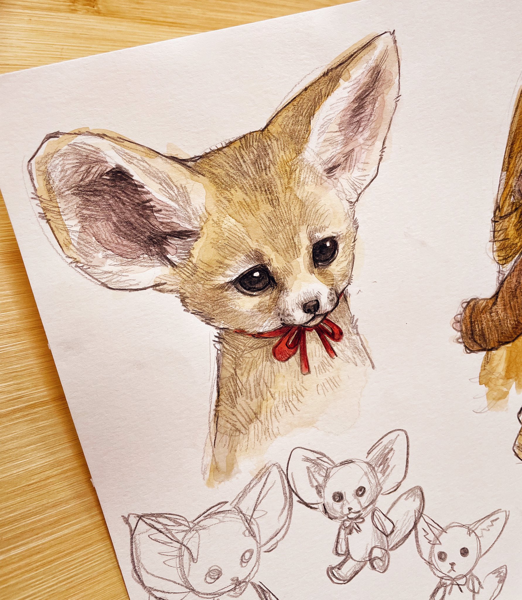 Easy Fennec Fox Drawing