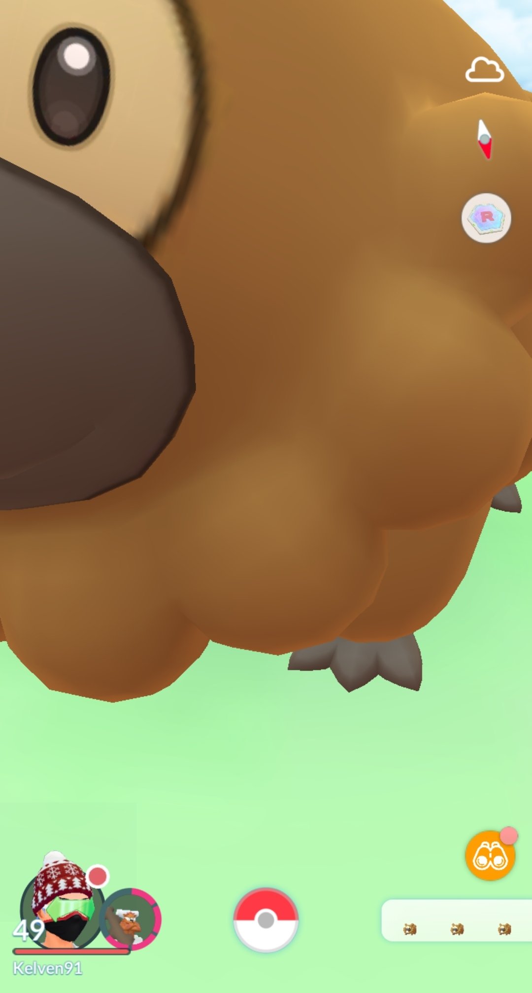 Mega Bidoof