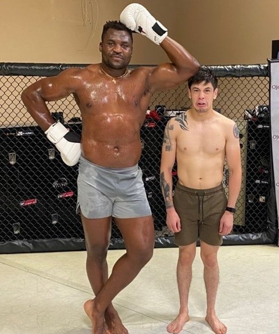 Joe Rogan standing next to both of tomorrow night's champions : r/MMA