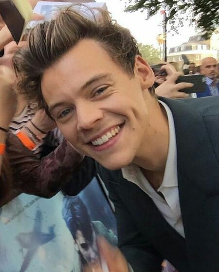 Harry Styles Dimples