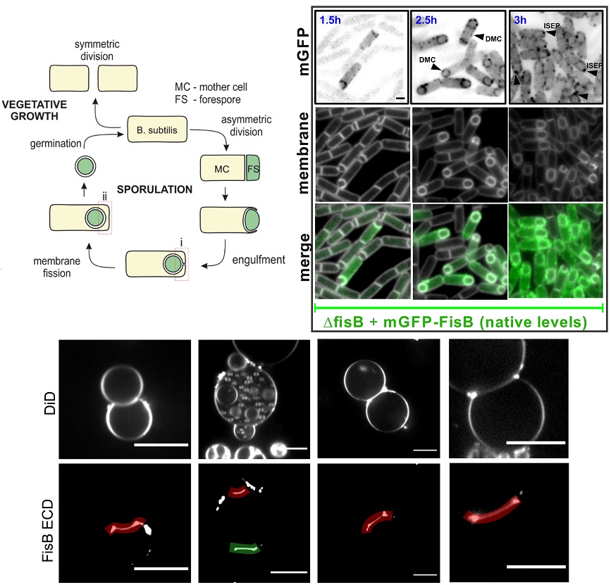 Ane Landajuela (@LandajuelaAne) | Twitter
