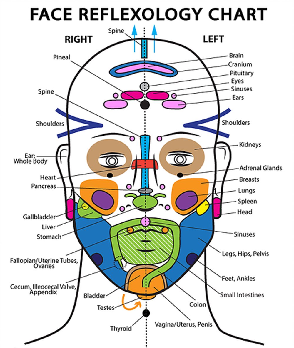 Face Reflexology Map