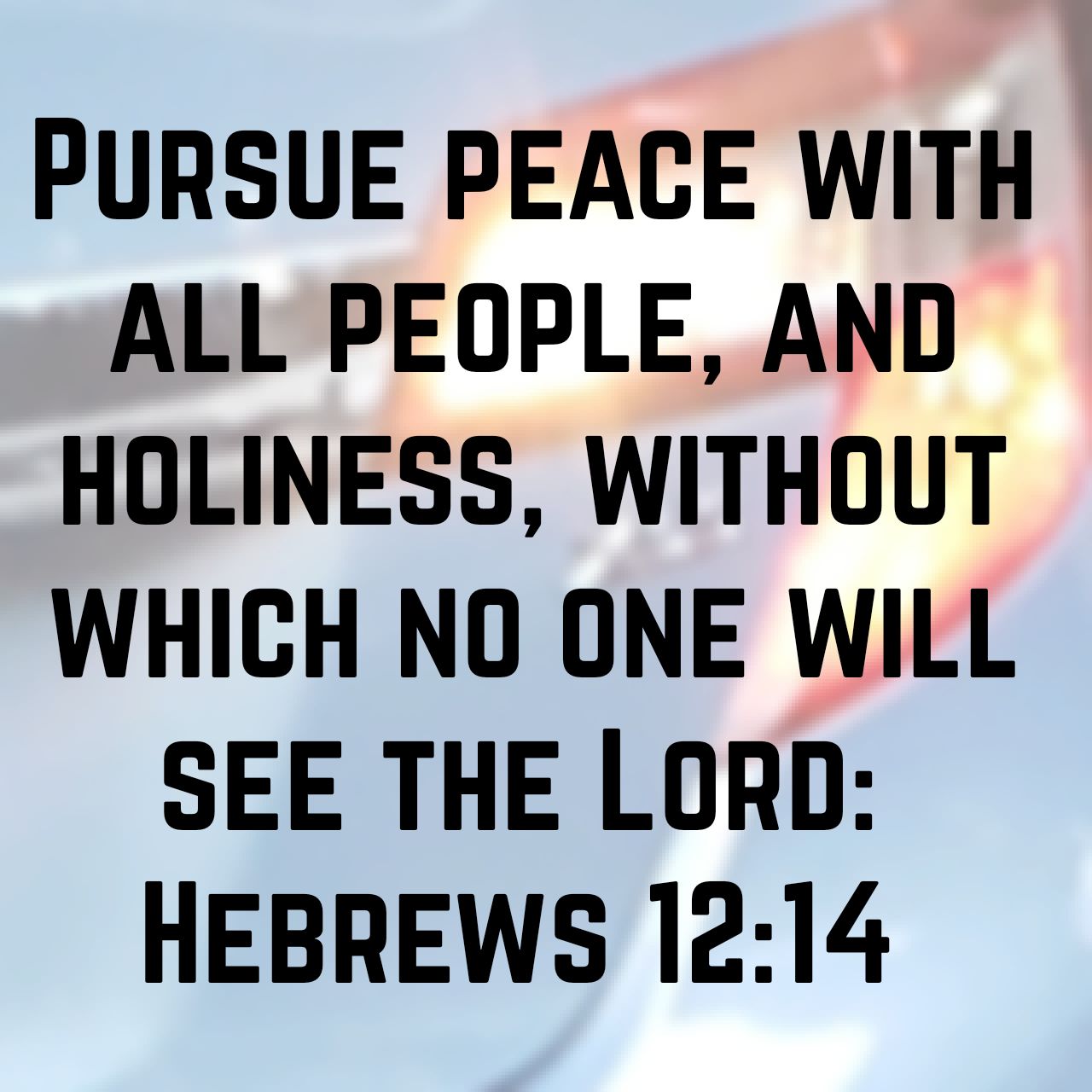 Hebrews 12 14 15 Nkjv