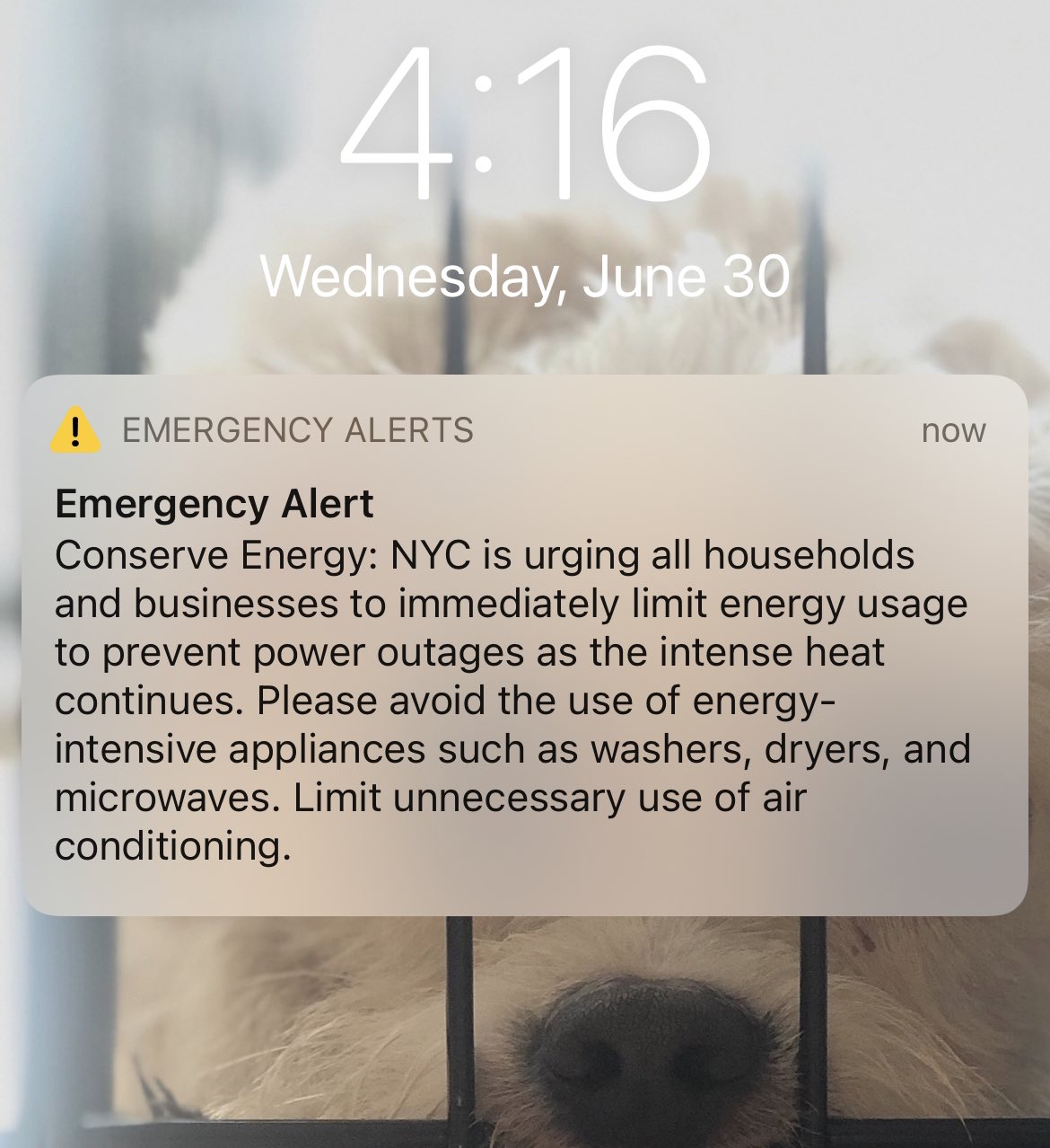 Warning Iphone Wallpaper