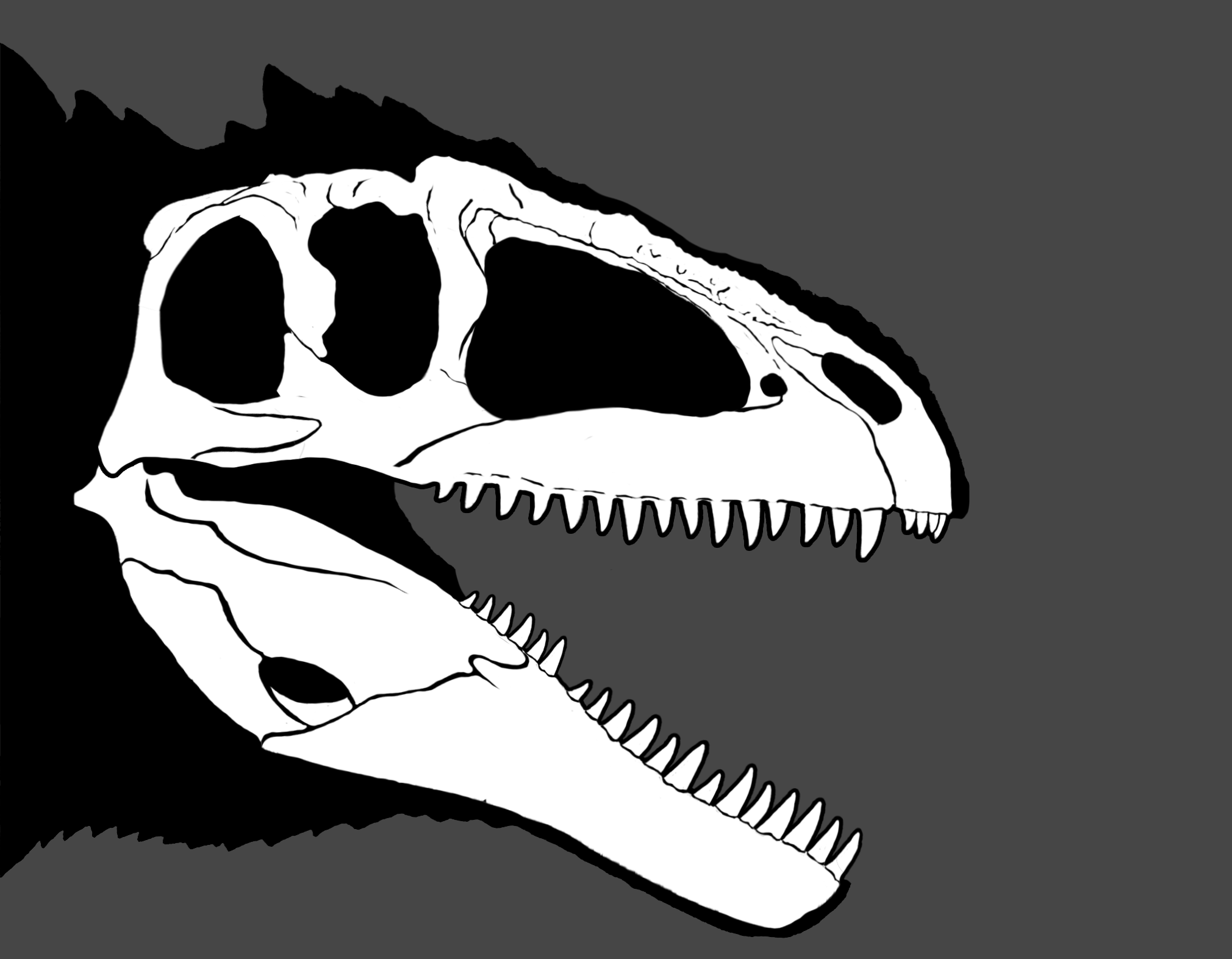 Giganotosaurus Skull