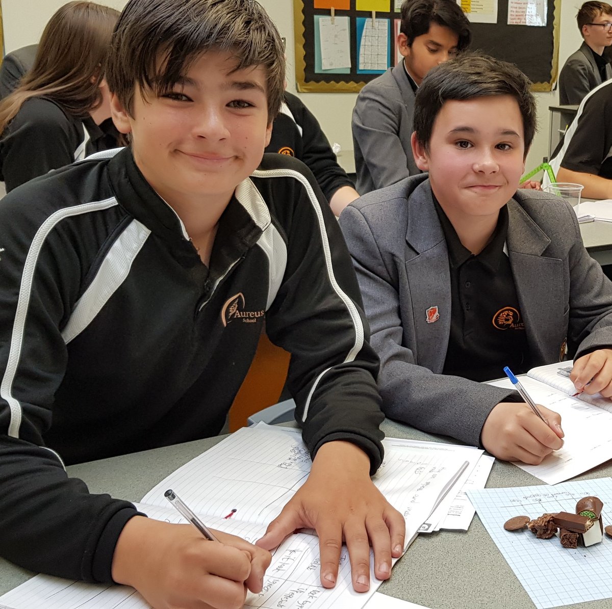 Welcome to Aureus School