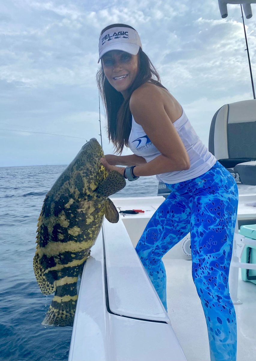 Baby Goliath Grouper