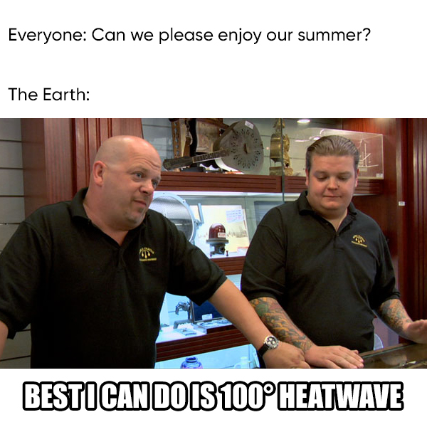 Pawn Stars Memes