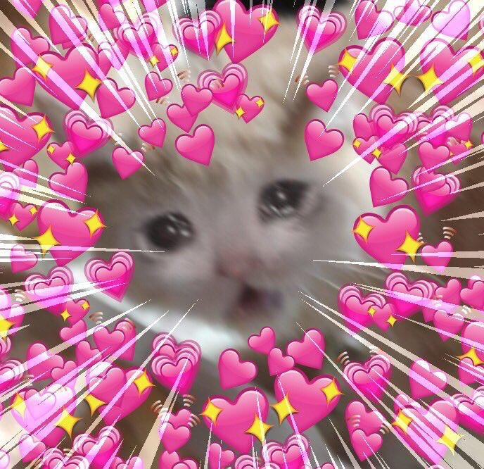 ara on Twitter: ara on Twitter: