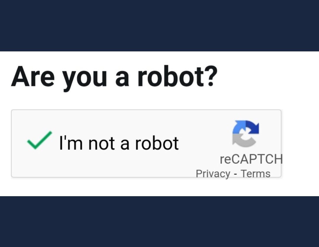 Maria Jaber's Instagram, Twitter & Facebook on IDCrawl