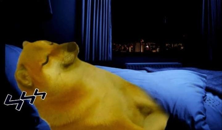 Shhhhhhhhh, el Cheems ya está durmiendo, banda Sigan bajando sin hacer ...