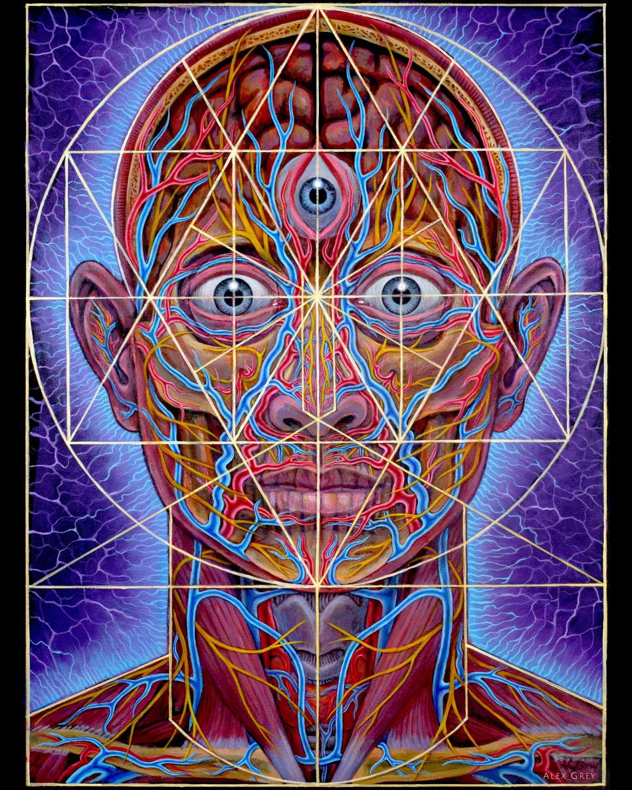 Alex Grey Meditation