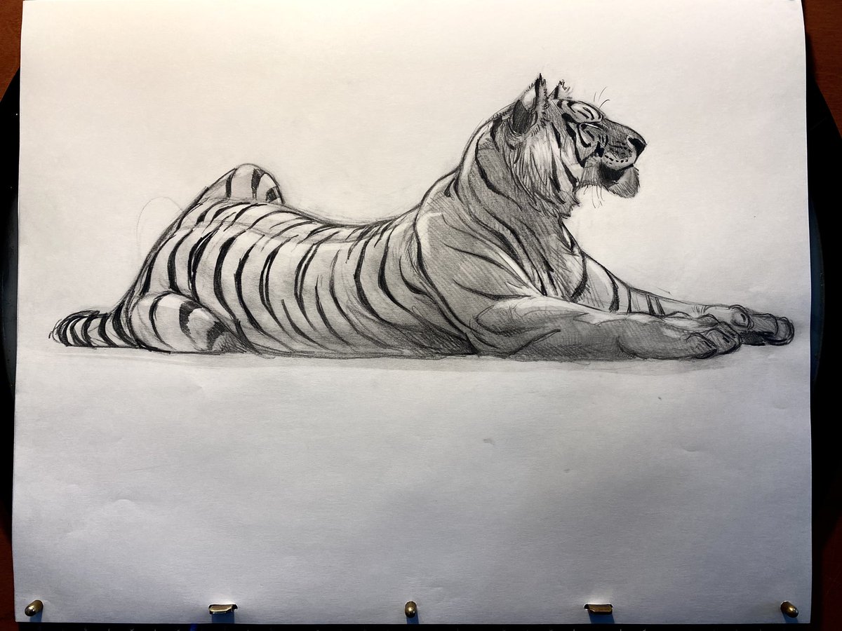 Twoucan - Aaron Blaise (@AaronBlaiseArt)