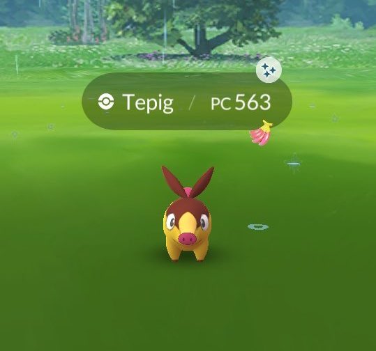 Pokemon Shiny Tepig