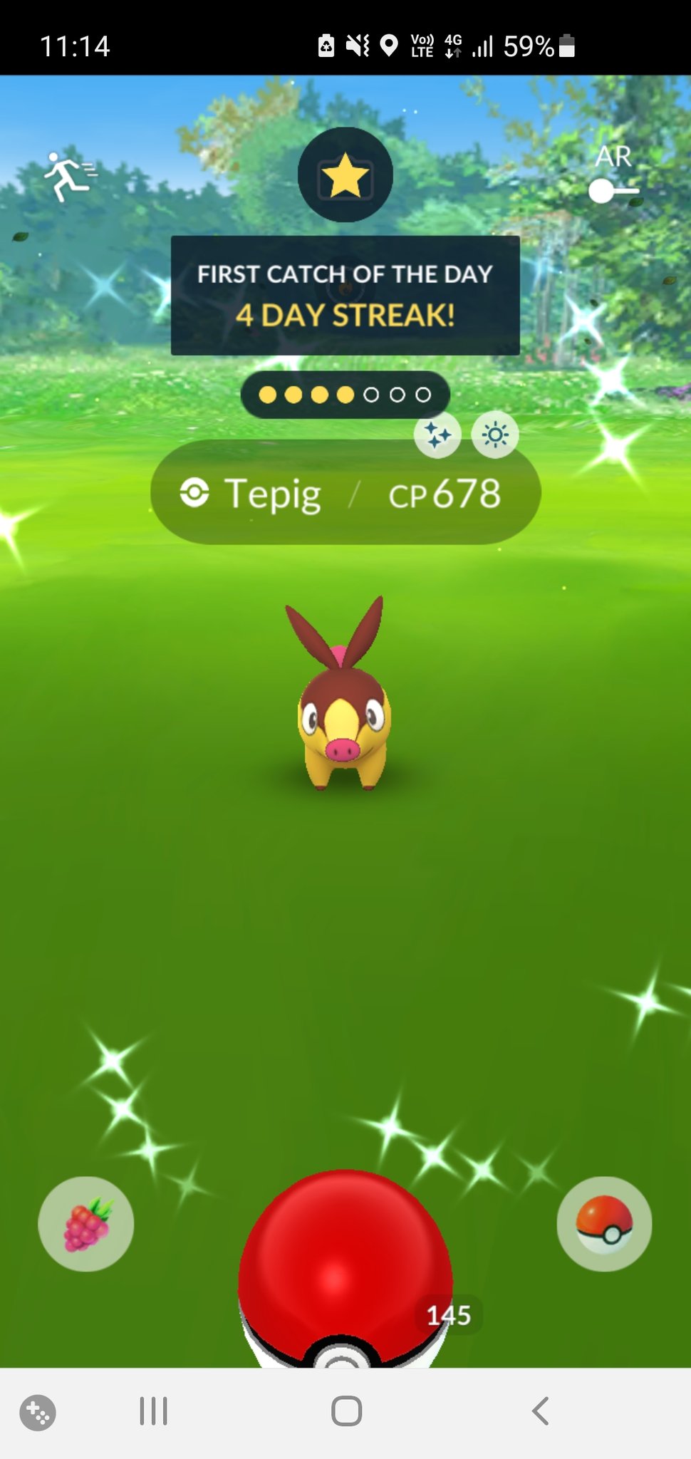 Pokemon Shiny Tepig