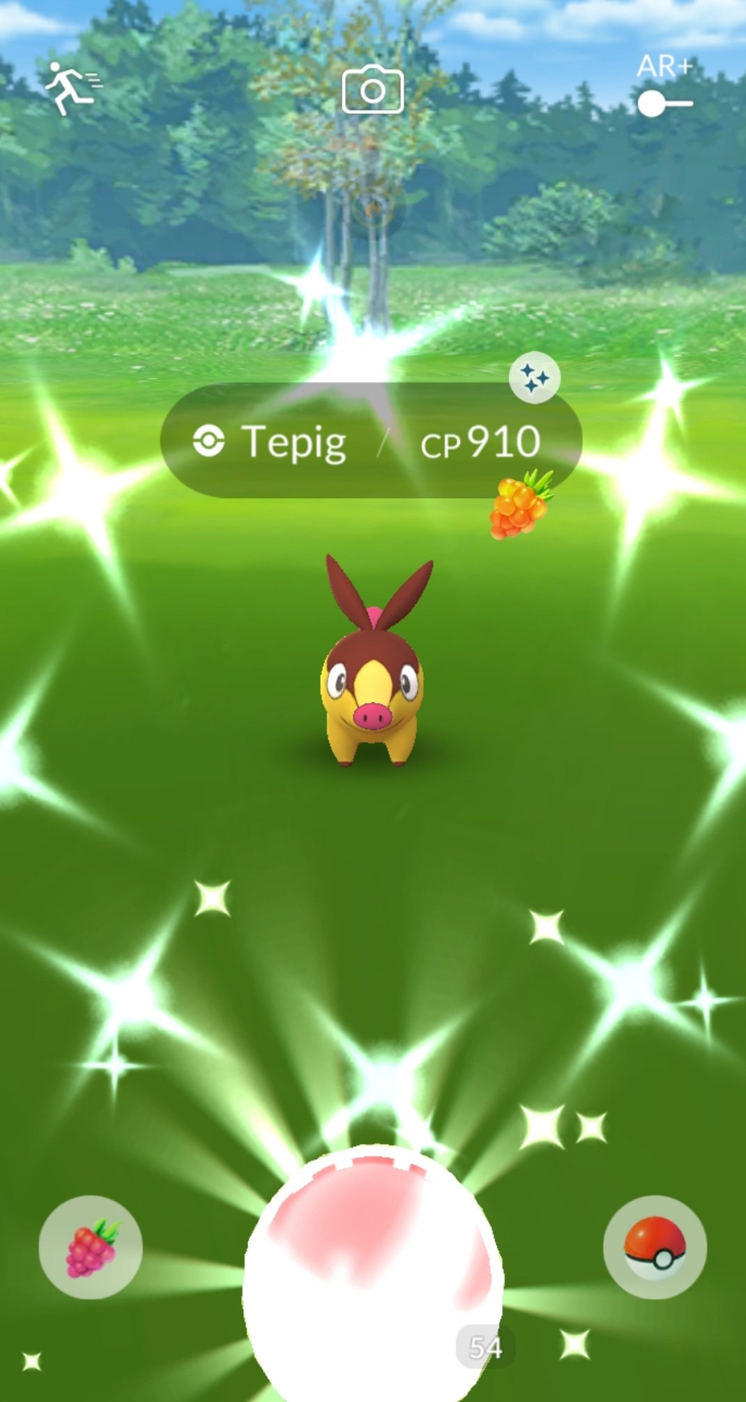 Pokemon Shiny Tepig