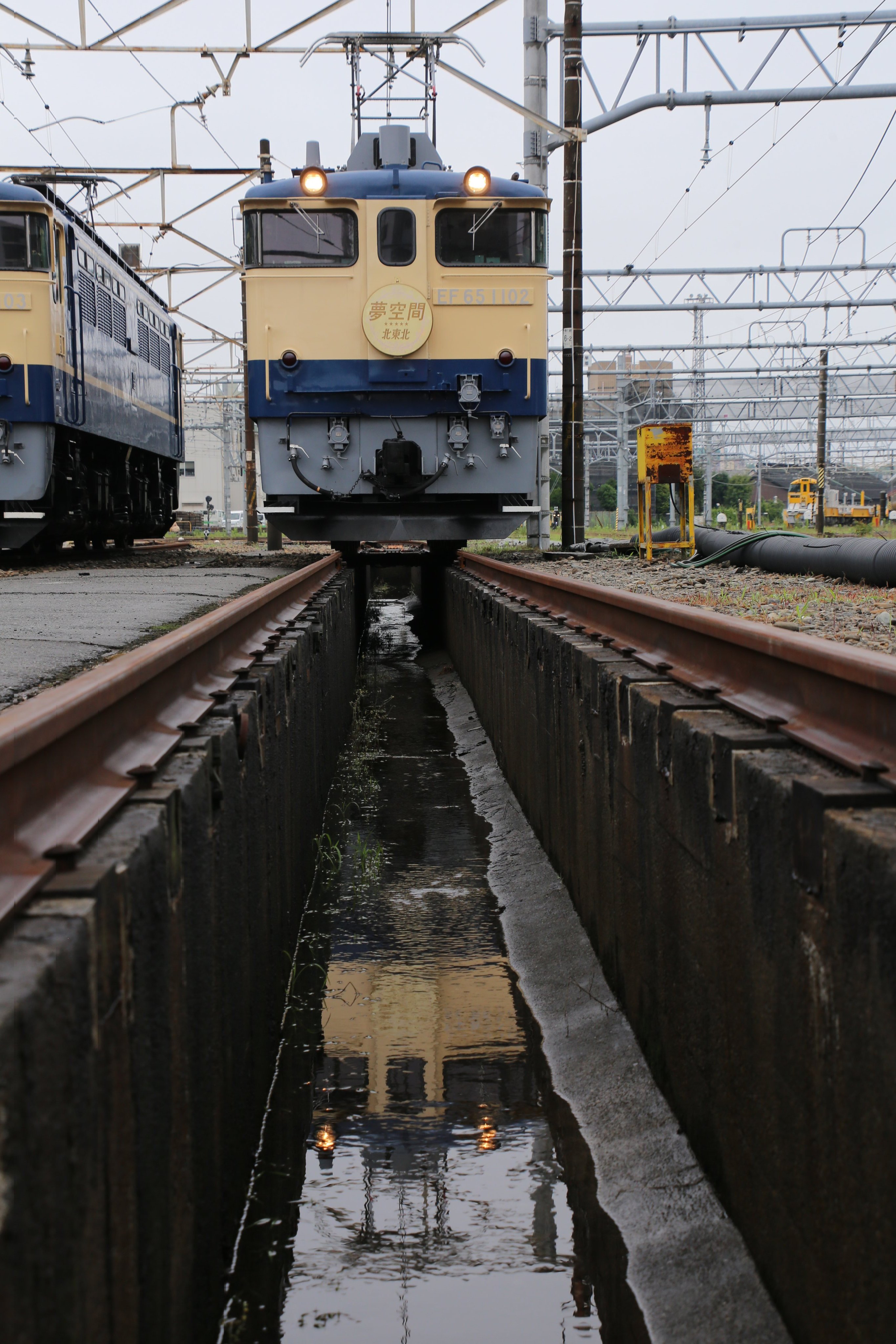 中特 on Twitter: "2021/07/03 田端運転所撮影会 EF65-1102 EF65-1103 EF65-1104 EF65-1105 EF65-1115 ありがとうございまし ...