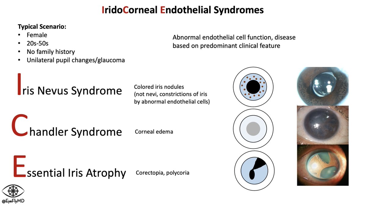Chandlers Syndrome