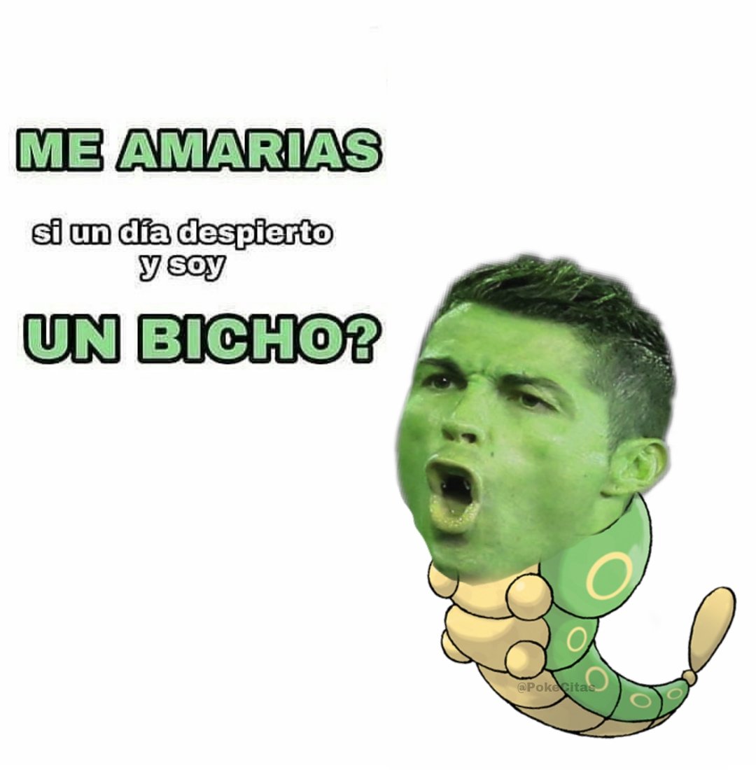 Fuera Bicho Memes Grasia Bicho