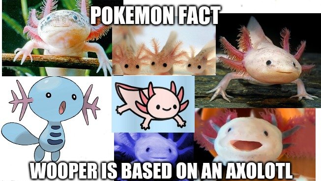 Axolotl Wooper