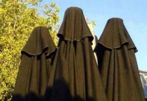 Will Waters (he/him) (@willwaters_) | Twitter