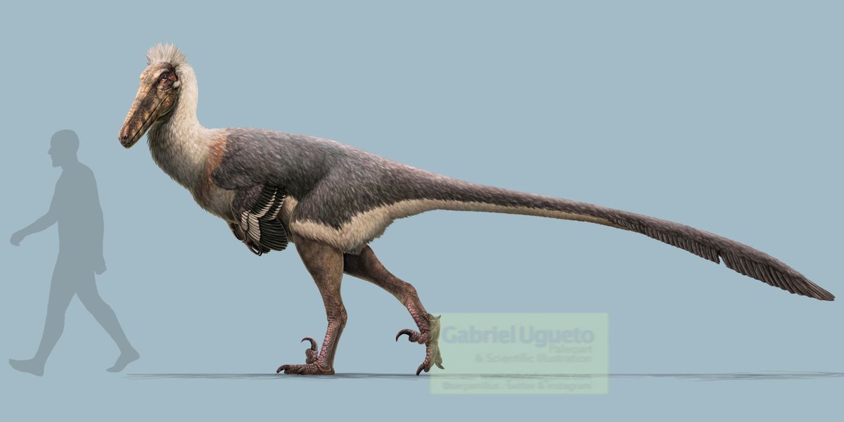 Twoucan - Gabriel N. U. (@SerpenIllus)