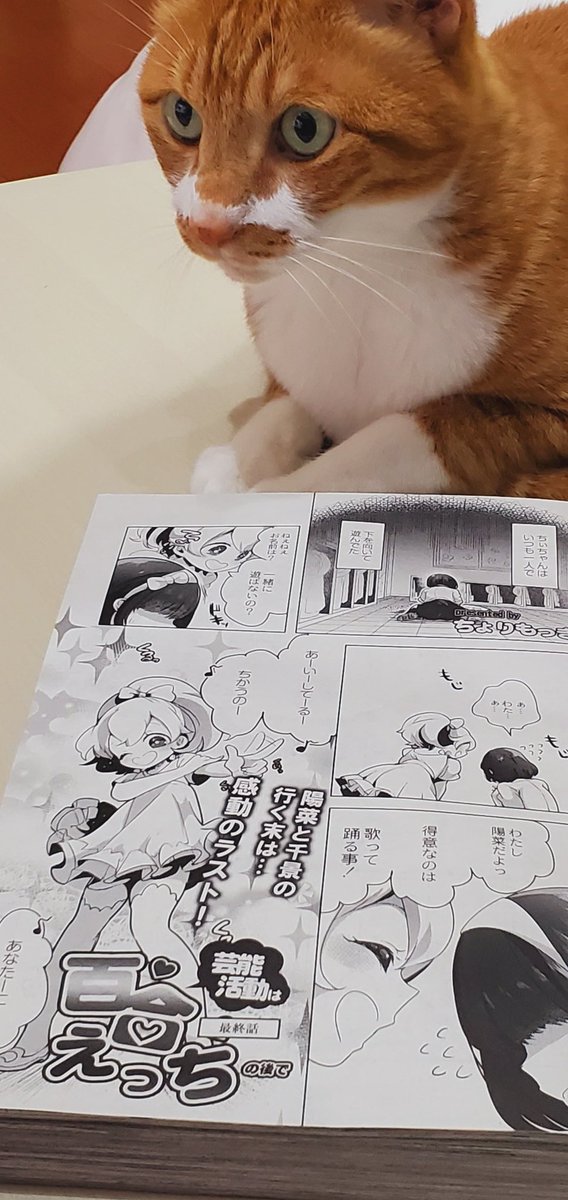 「そういえば今月のリブート巻頭に載せてもらってた😄猫 」ちょりもっきの漫画